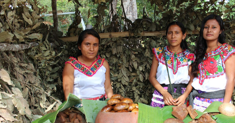 Lenguas Indígenas de Oaxaca: Preservando la Diversidad Cultural ...