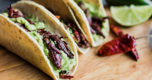 Chapulines in Oaxaca: History, Recipes, and Cultural Significance ...